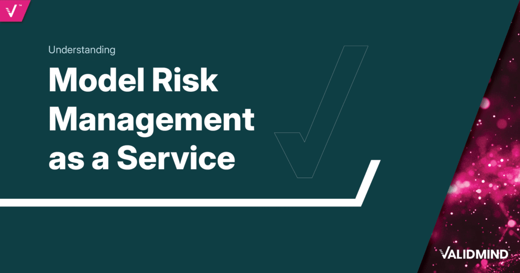 Model Risk Management as a Service Explained